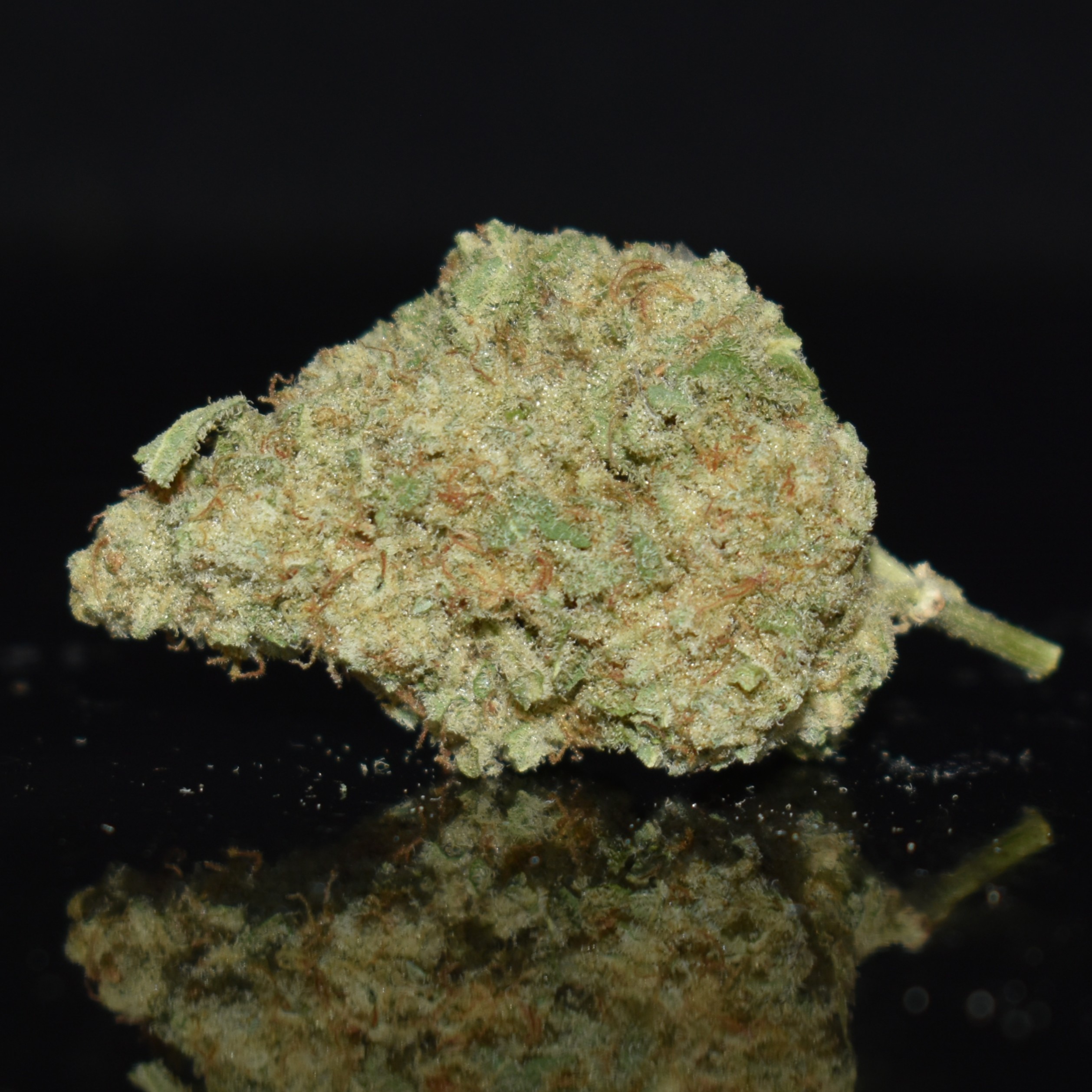 Buy Space Cream - Highest Farmacy